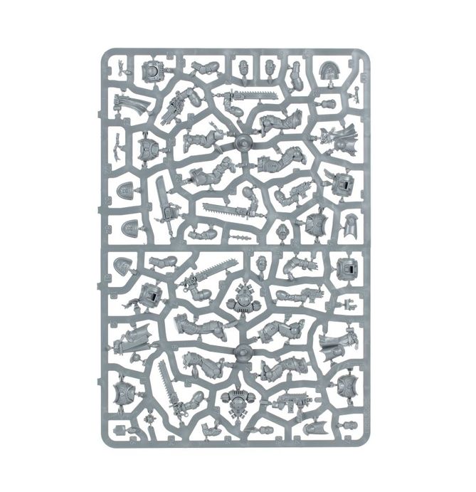 Primaris Crusader Squad