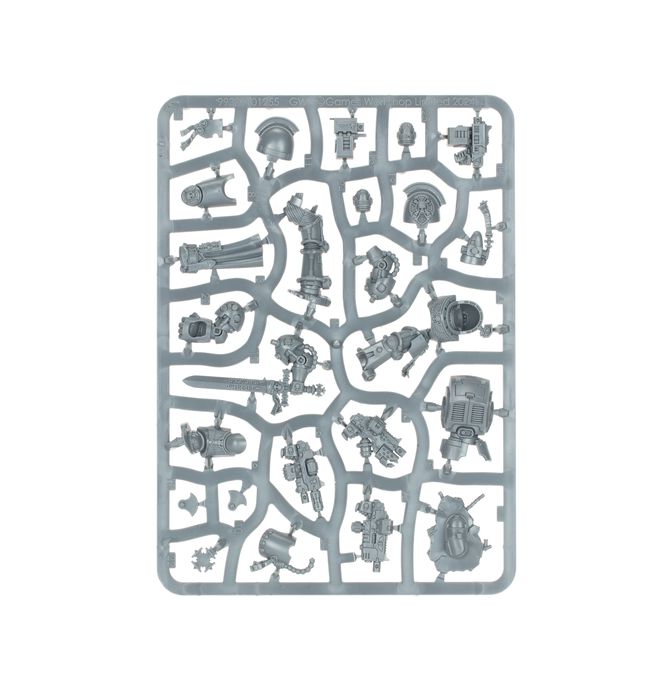 Captain in Terminator Armour