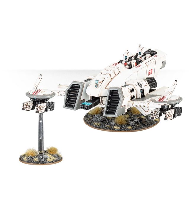 tau fliers