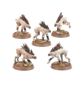 White Dwarf 504
