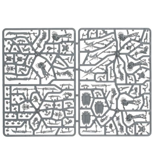 Regiment of Renown: Heralds of the Bone-tithe