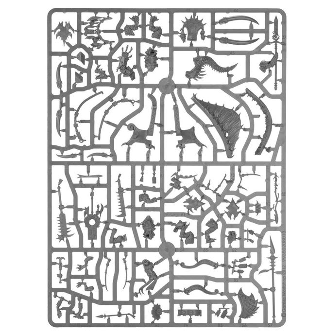 Skink Oracle on Troglodon