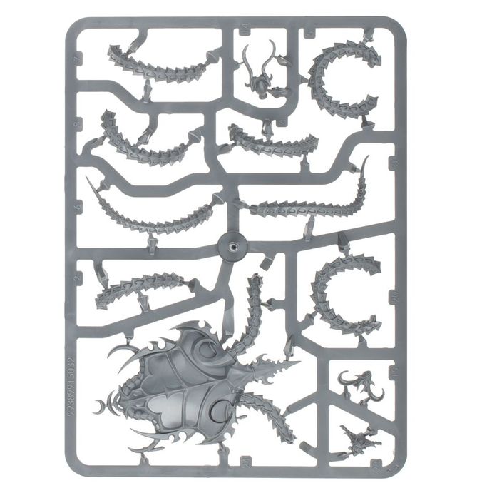 The Contorted Epitome