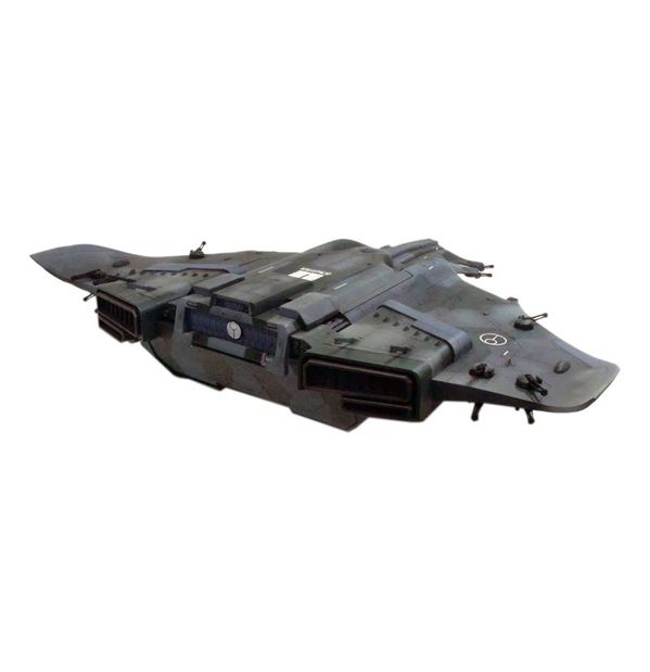 Manta