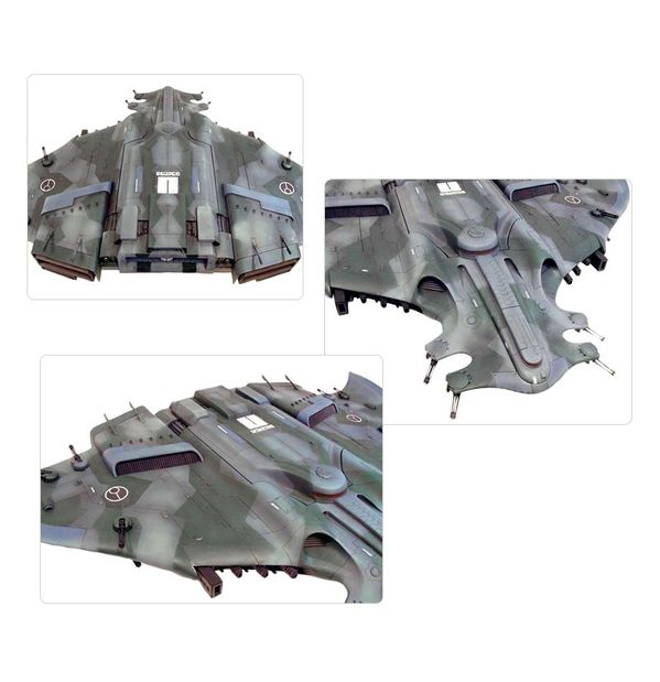 Manta