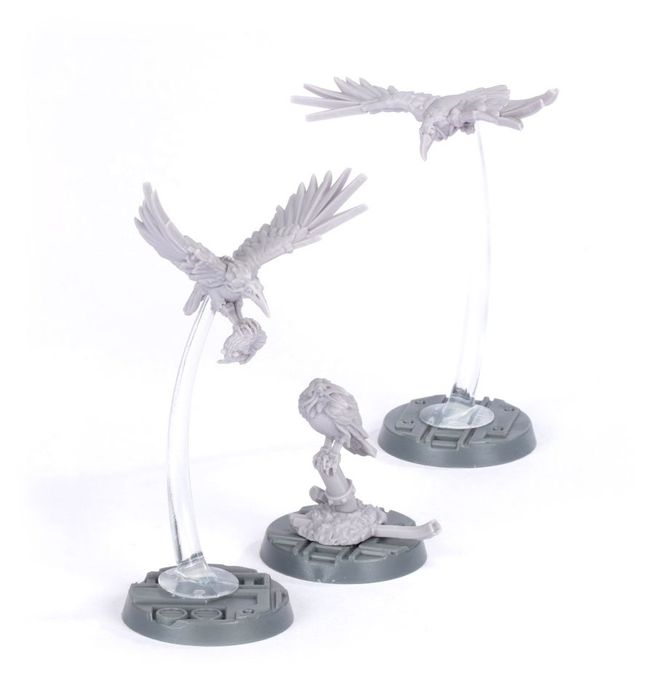 Cawdor Sheen Birds