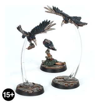 Cawdor Stig-shambler