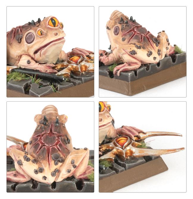 Arcane Frogs