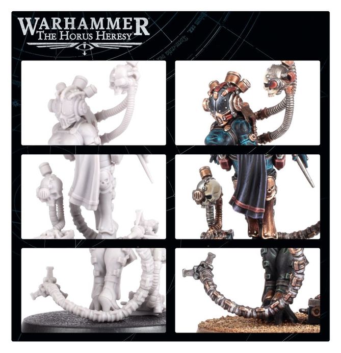 Clade Vanus Infocyte Assassin