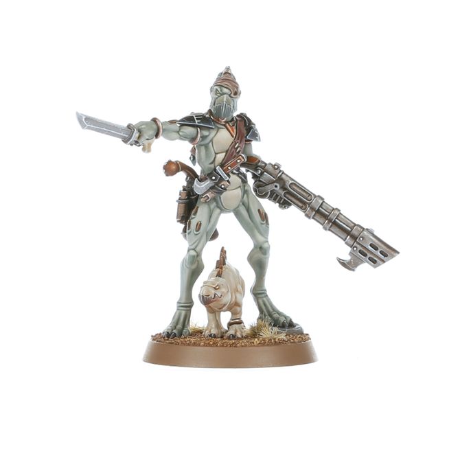 Kroot Carnivores