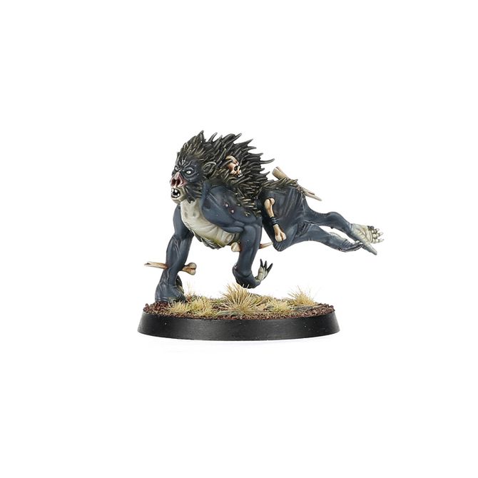 Warcry: Royal Beastflayers