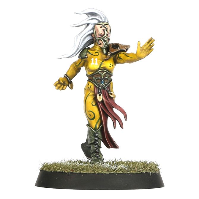 Wood Elf Blood Bowl Team at Gabriel Burnell blog
