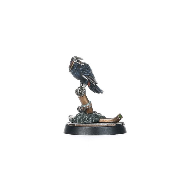 Cawdor Sheen Birds