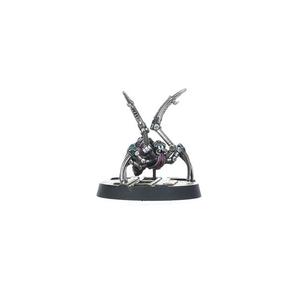 Van Saar Champion in Carapace Armour with Cyberachnids