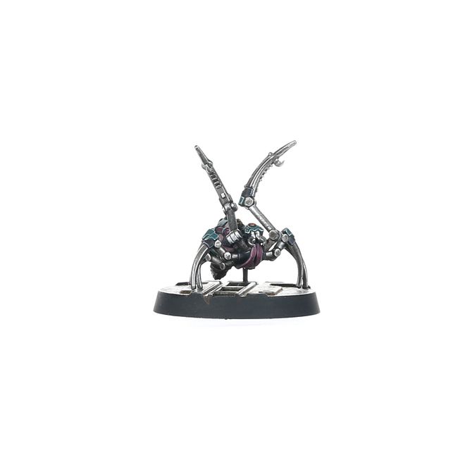 Van Saar Champion in Carapace Armour with Cyberachnids